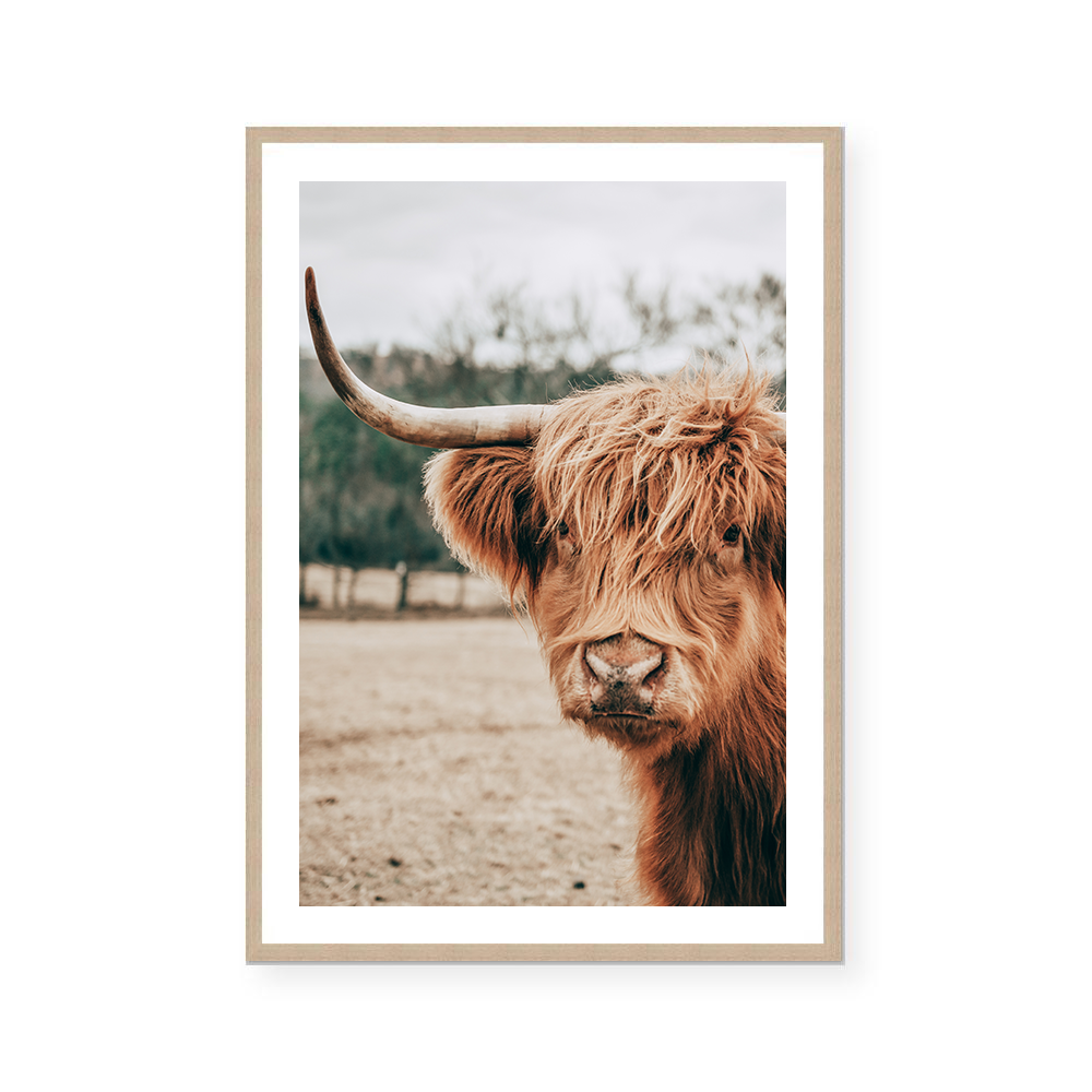 Highlander | Art Print – Life In Ink